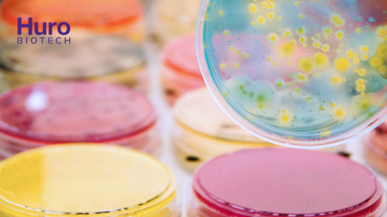 Bacillus subtilis HU58 - Bào Tử Lợi Khuẩn Bền Nhiệt Từ Anh Quốc